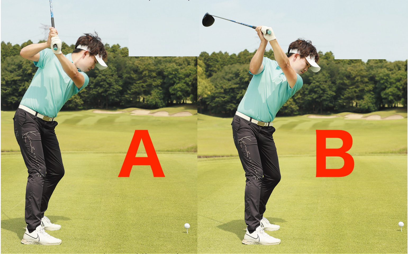 5a9c8215f444bb0cf00bb6087d07040b – ワッグルONLINE