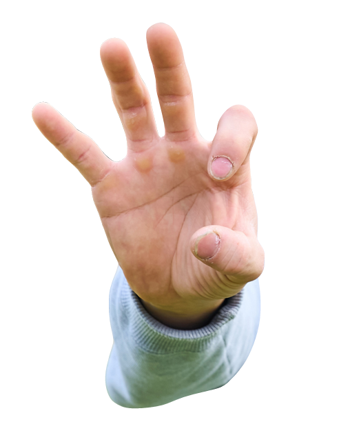 right-hand – ワッグルONLINE