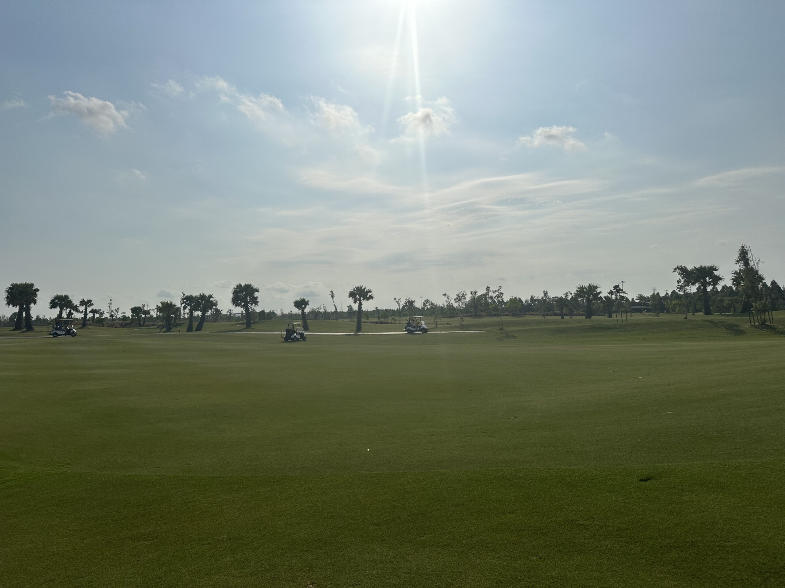 04-3 | ワッグルONLINE