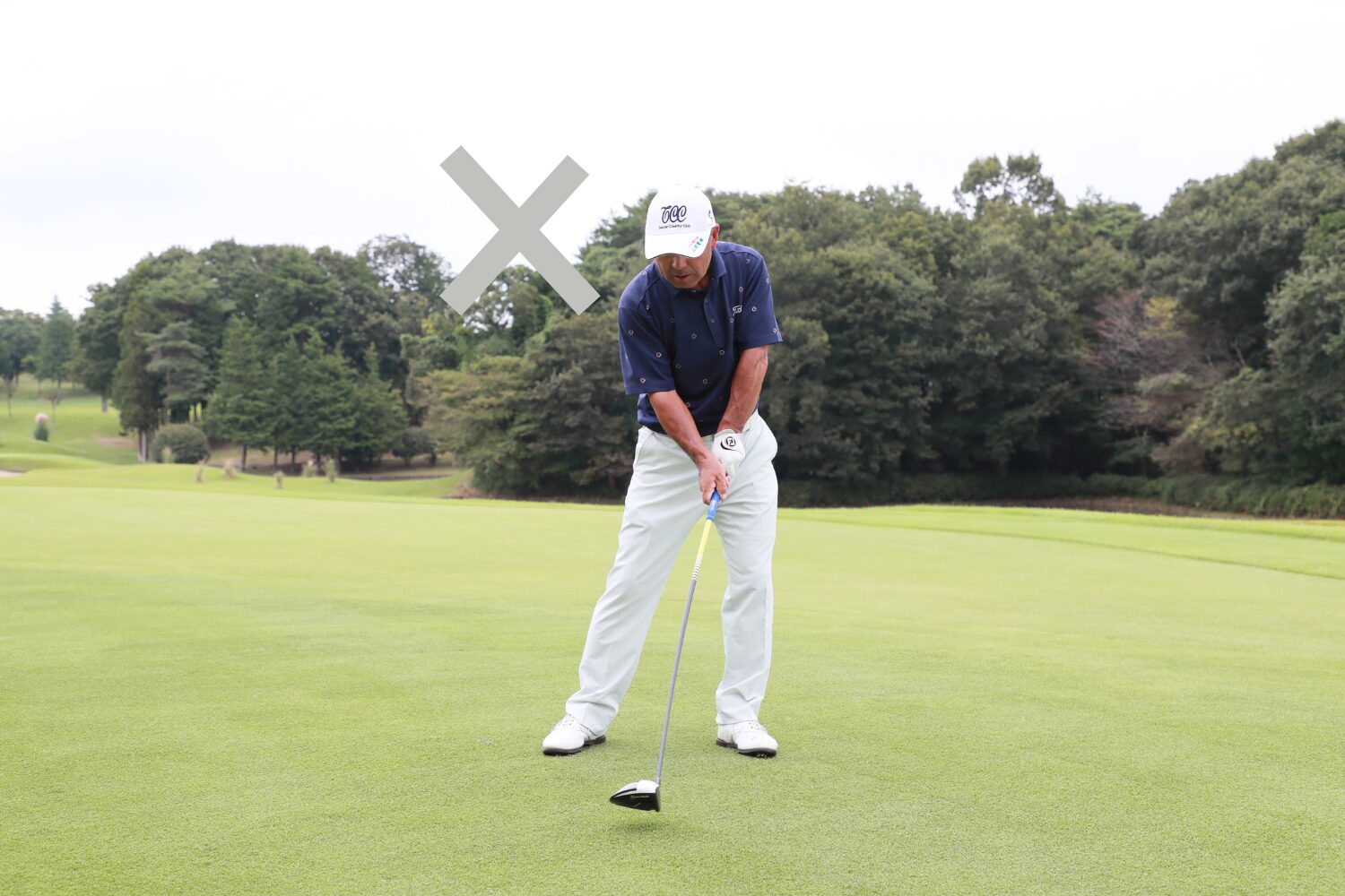 P50-1 | ワッグルONLINE