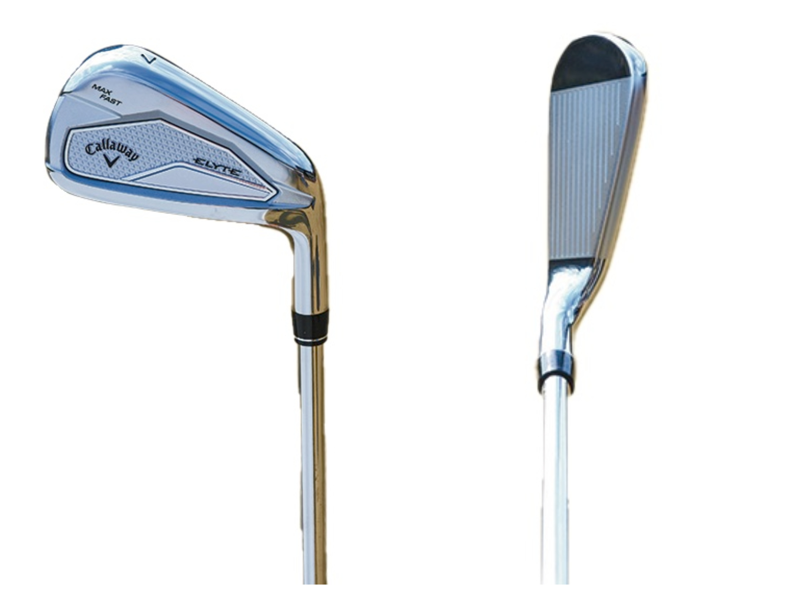 elyte_max_fast_IR_adress | ワッグルONLINE